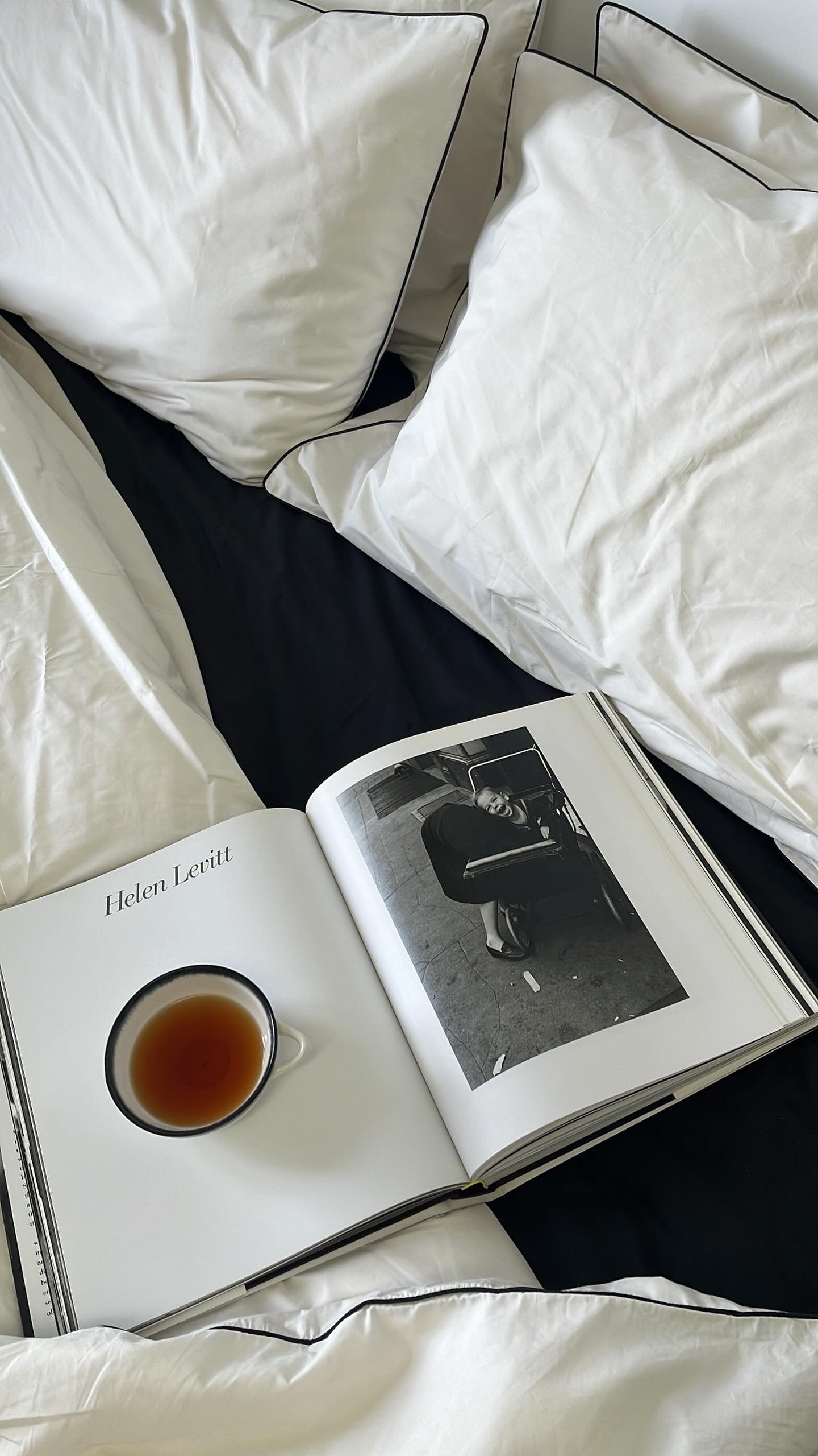 Flat Sheet in Cinder – SUTRAM